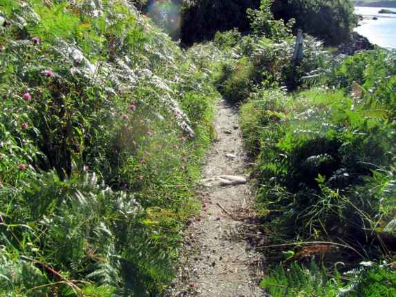 Scorrybreac Walk in Portree on the Isle of Skye in Scotland