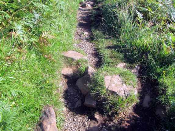 Scorrybreac Walk in Portree on the Isle of Skye in Scotland