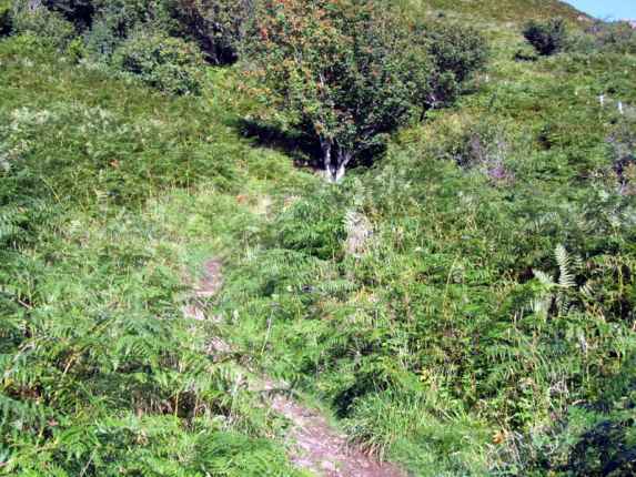 Scorrybreac Walk in Portree on the Isle of Skye in Scotland